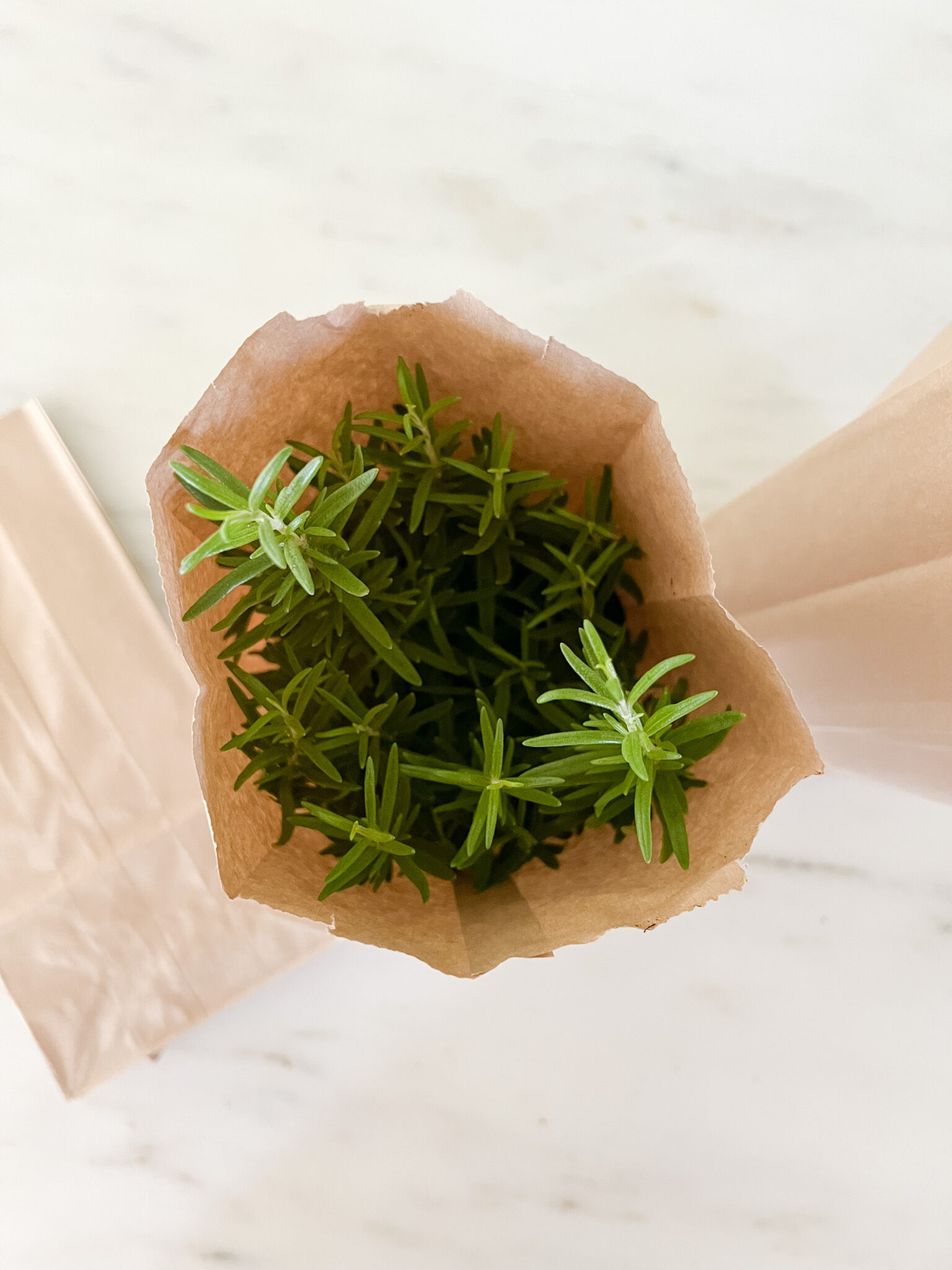 Rosemary Party Favor - A Thoughtful Place